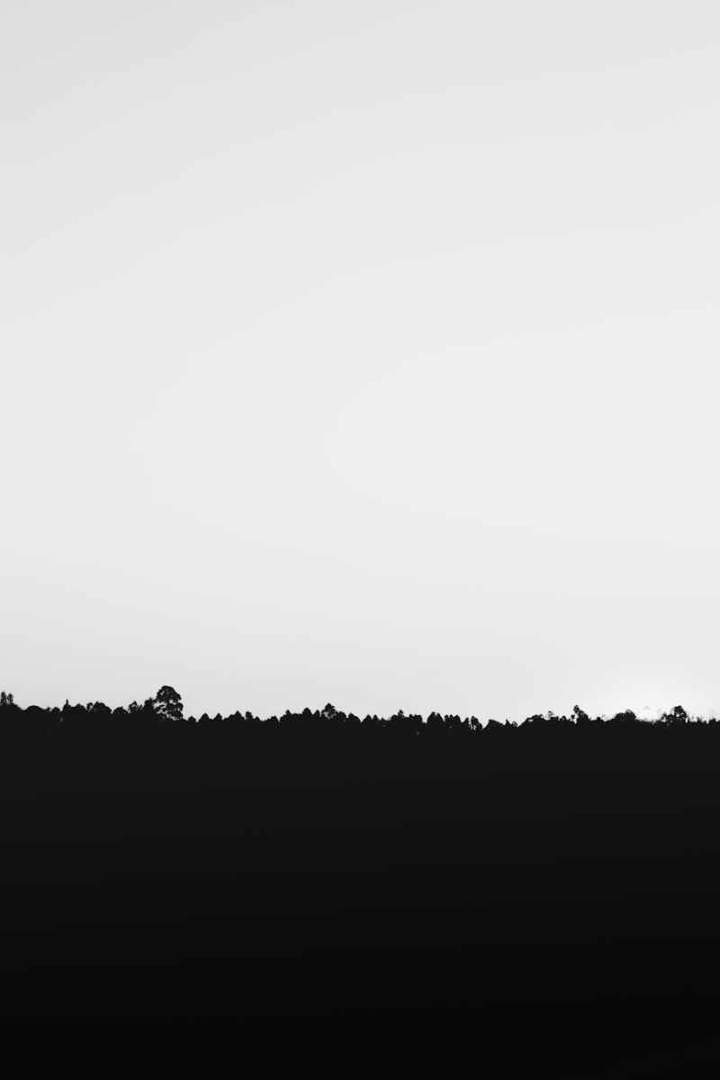 How This Happened – Savannah Watson